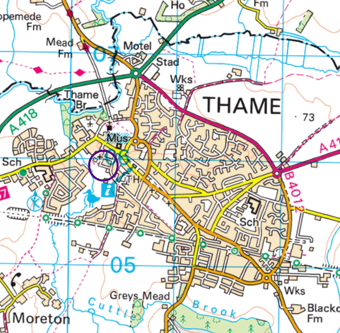Spring Path, Thame 3 bed detached house - £580,000